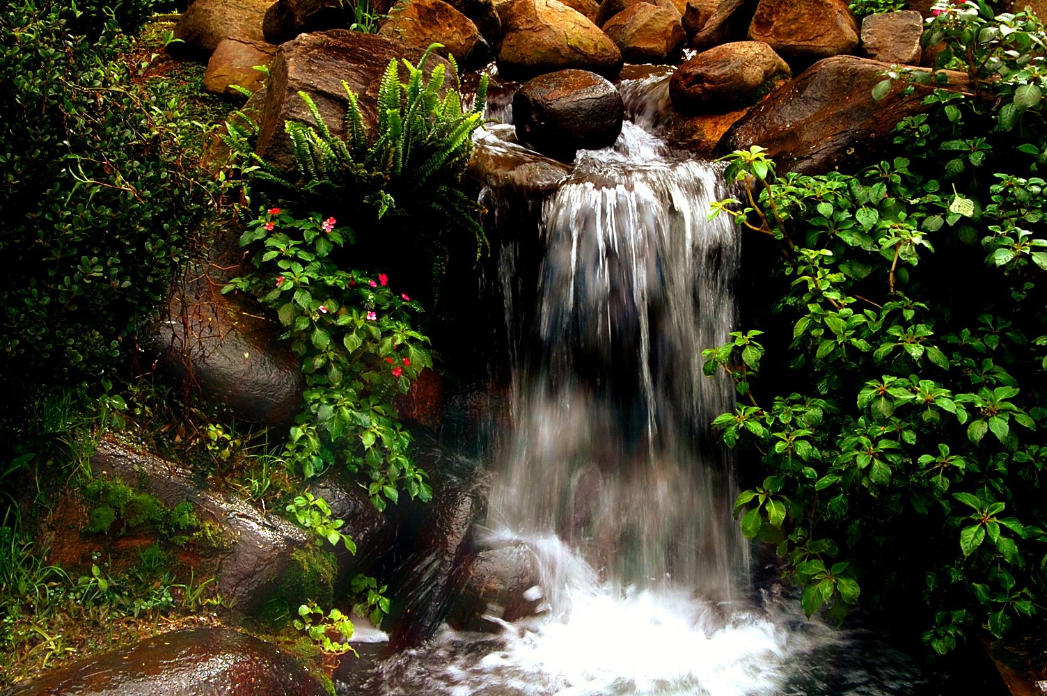 La Venere italiana delle acque minerali più pure, Filette Prime Water ...