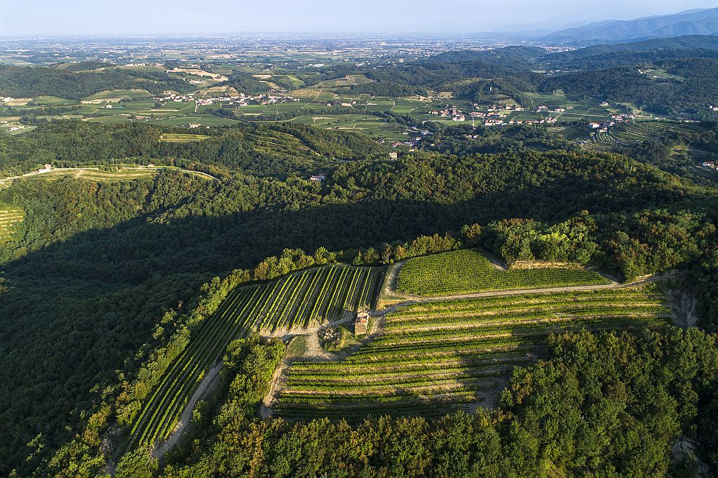 A spasso tra vini, sapori e cultura del Collio. Da Cividale del Friuli ...