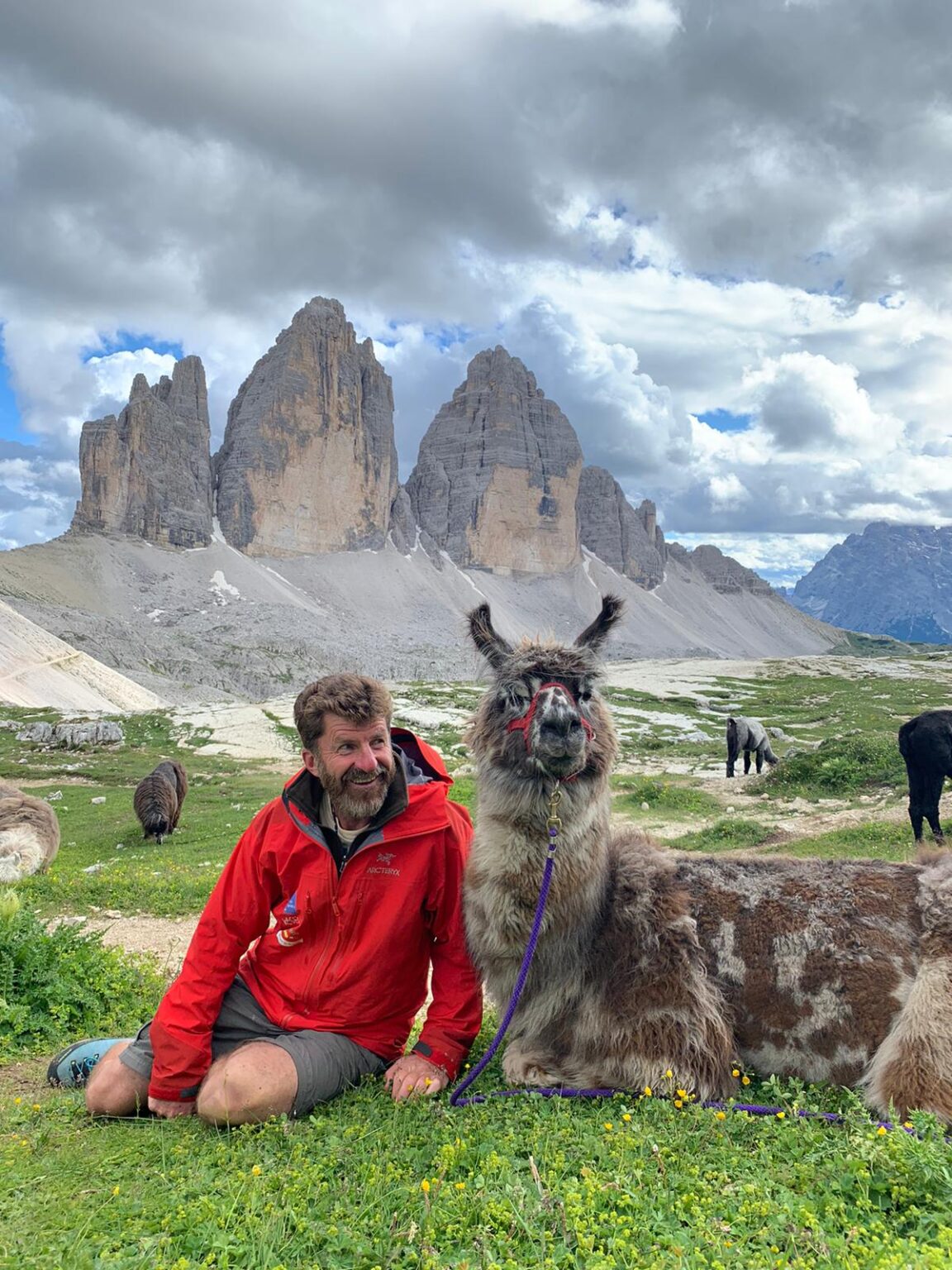 Un percorso nel territorio dove nasce lo Speck Alto Adige, con il lama ...