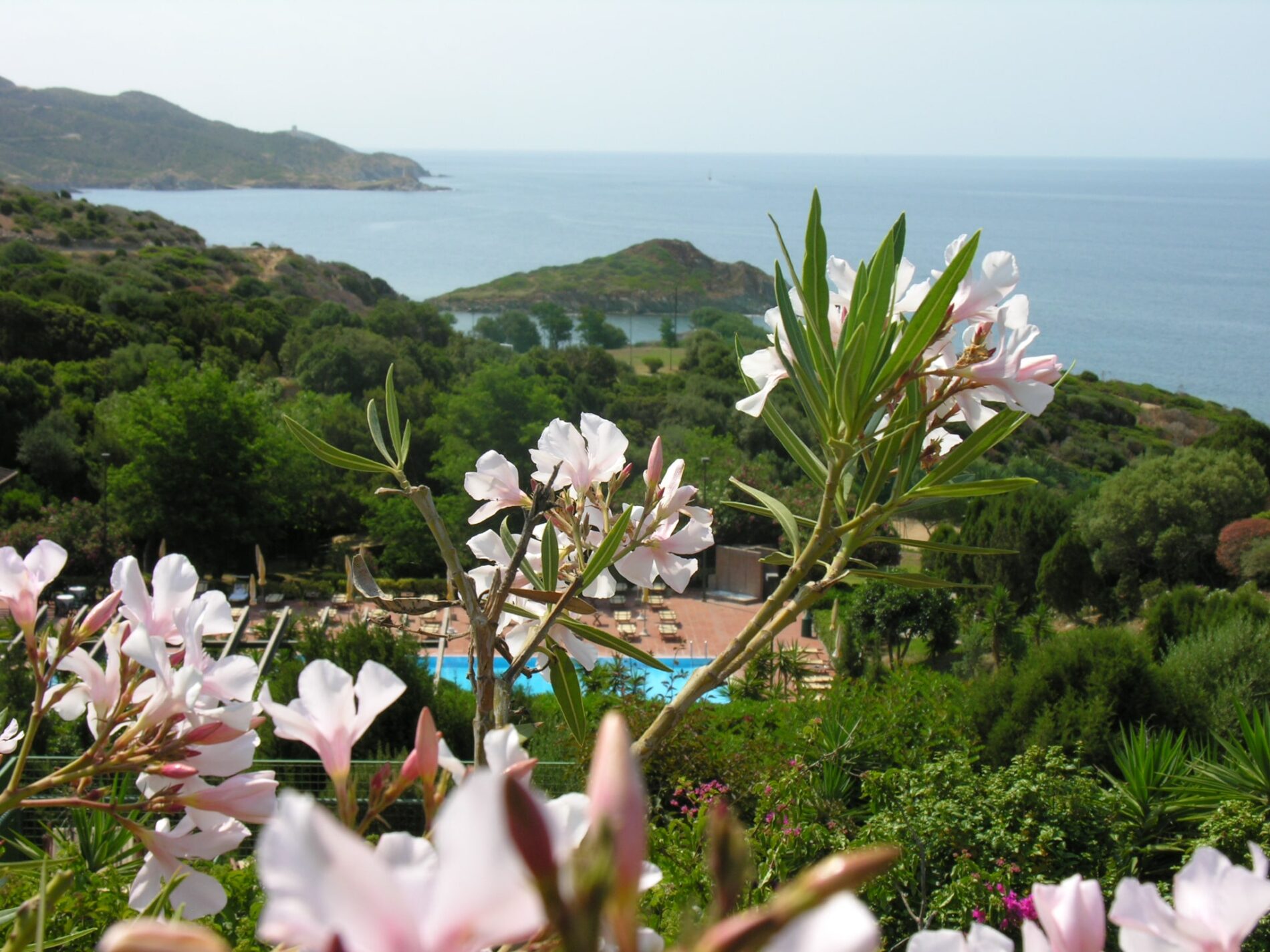 Sardegna tra sogno e realtà all’Ecovillage Baia delle Ginestre di Capo ...